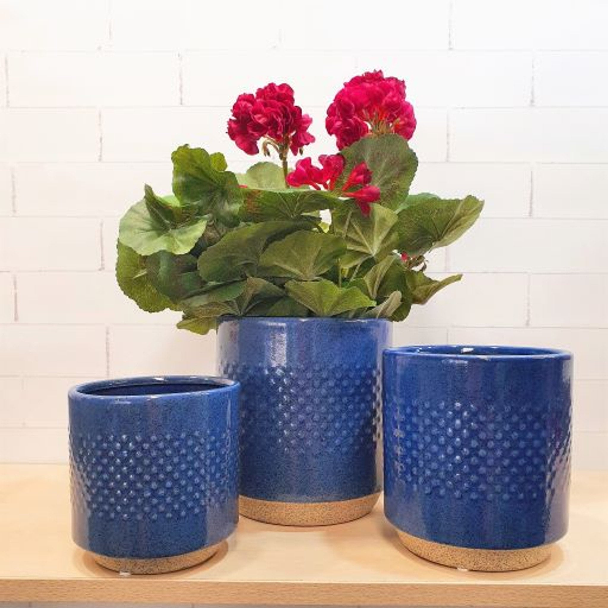 Cobalt spot pot | Canberra Nursery & Garden Centre