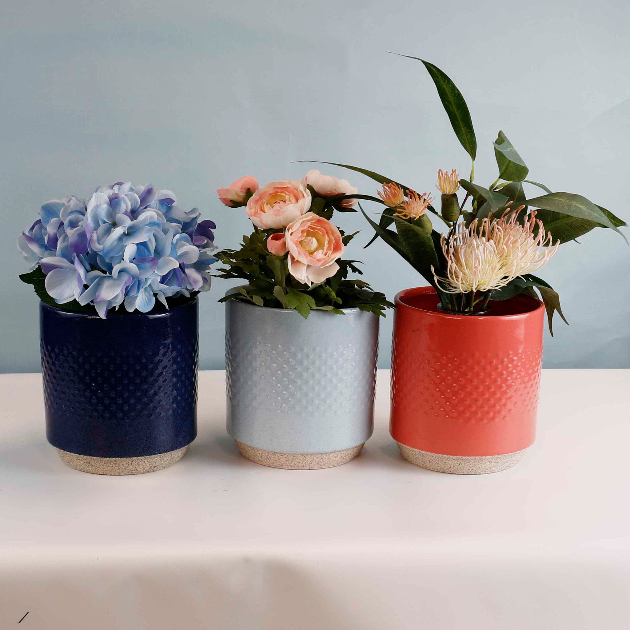 Cobalt spot pot | Canberra Nursery & Garden Centre