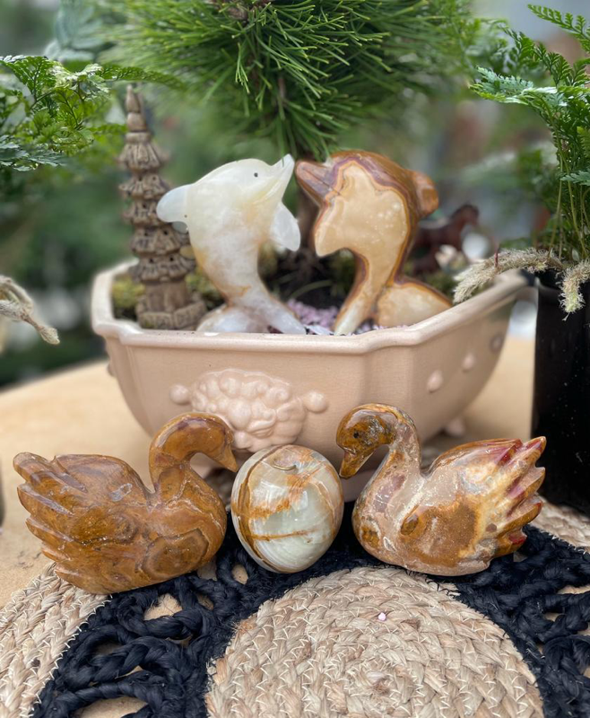 Apple &duck | Canberra Nursery & Garden Centre