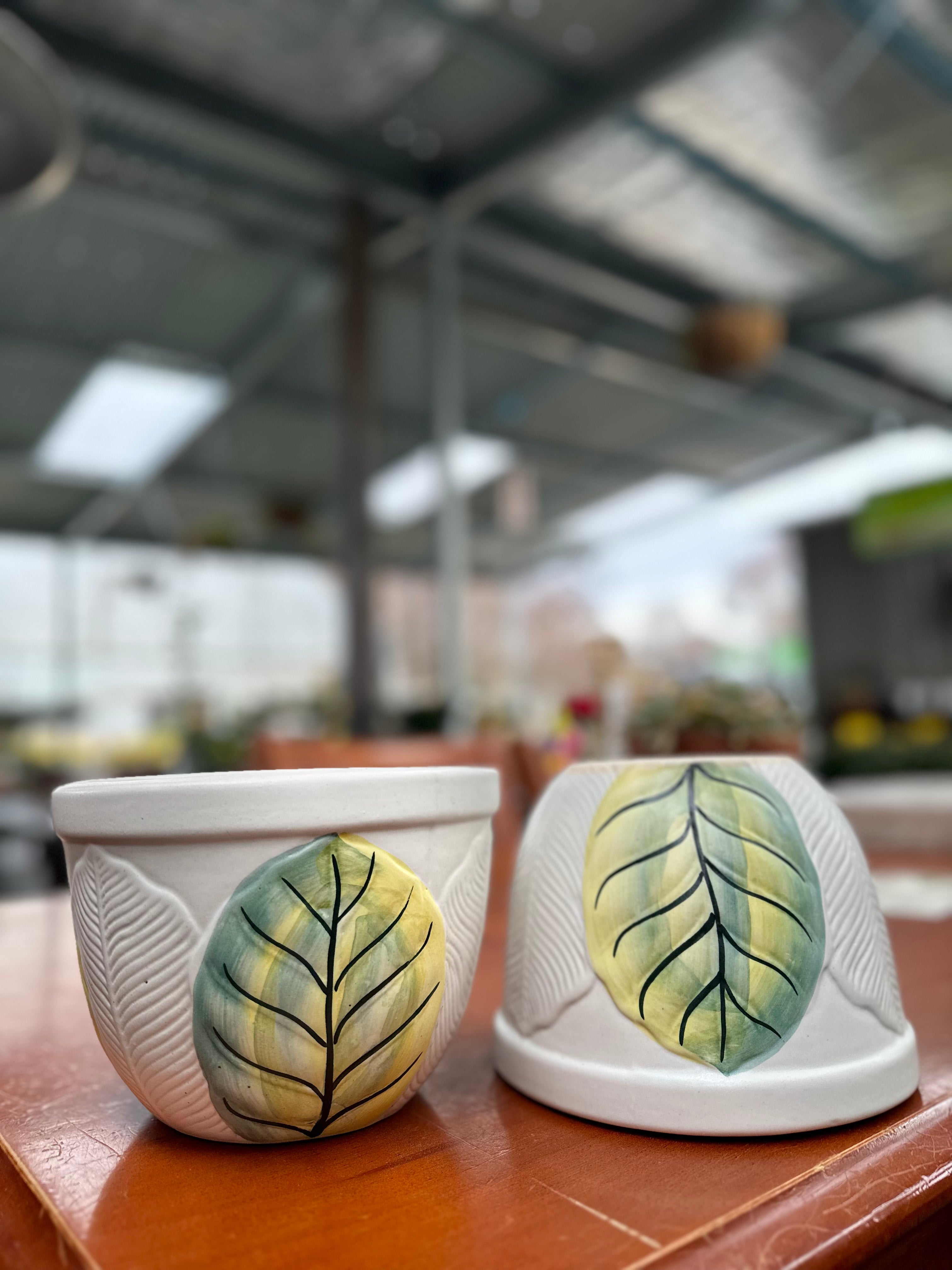 leaf pots | Canberra Nursery & Garden Centre