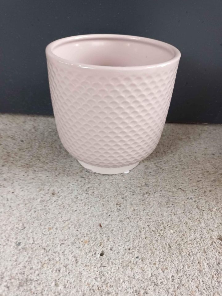 Shell Pot Cream | Canberra Nursery & Garden Centre