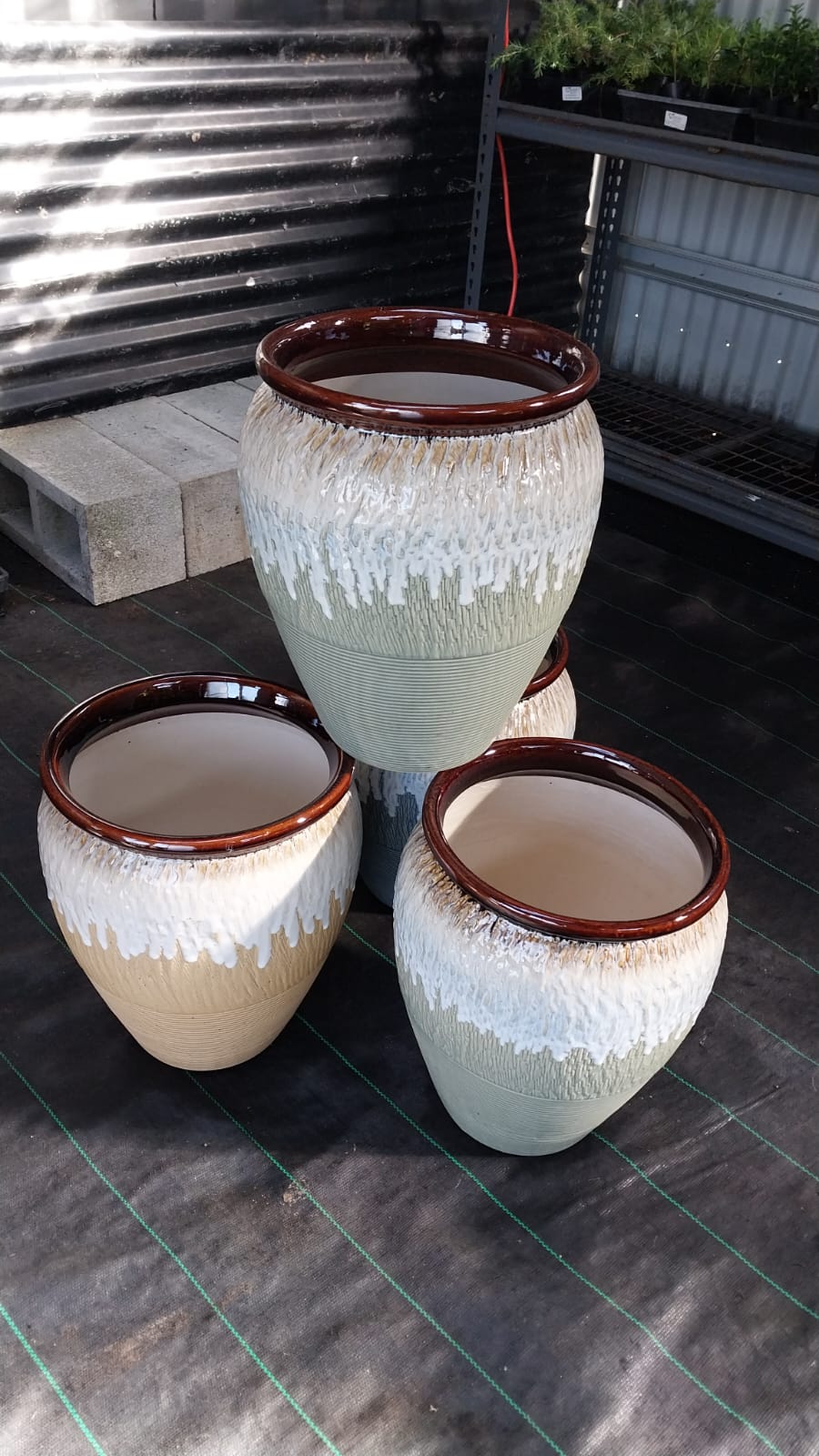Designer Pastel Pot | Canberra Nursery & Garden Centre