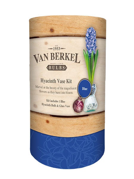Hyacinth Vase Kit | Canberra Nursery & Garden Centre