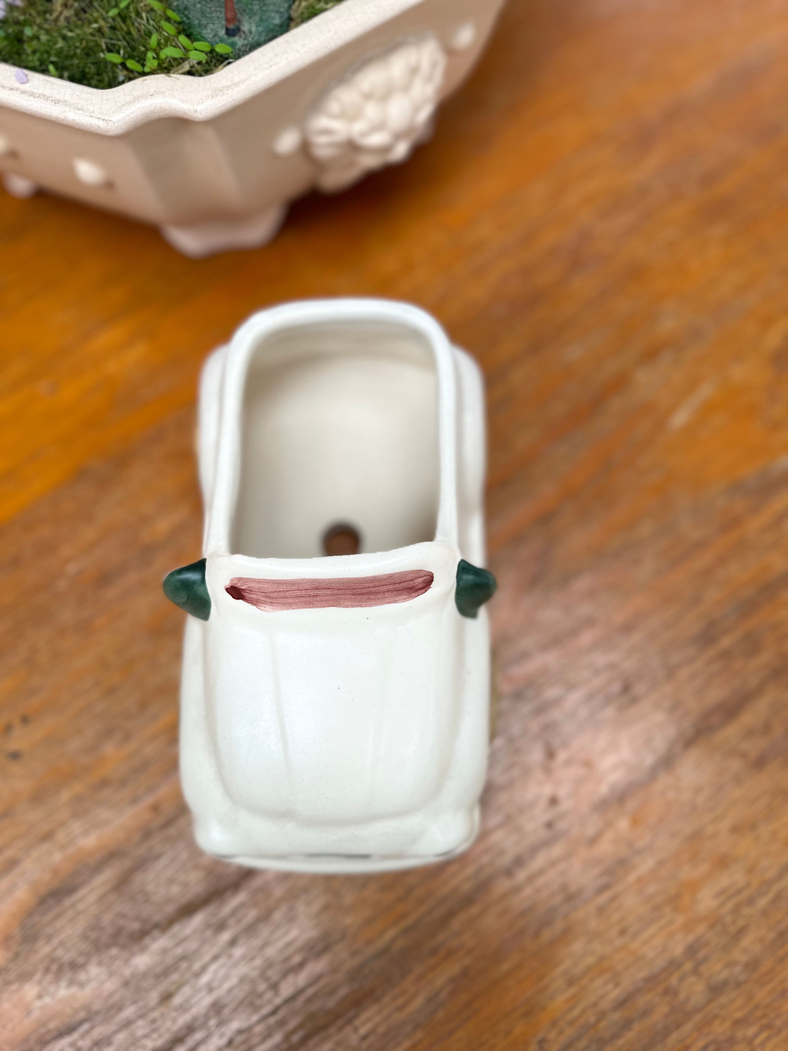 car pot | Canberra Nursery & Garden Centre