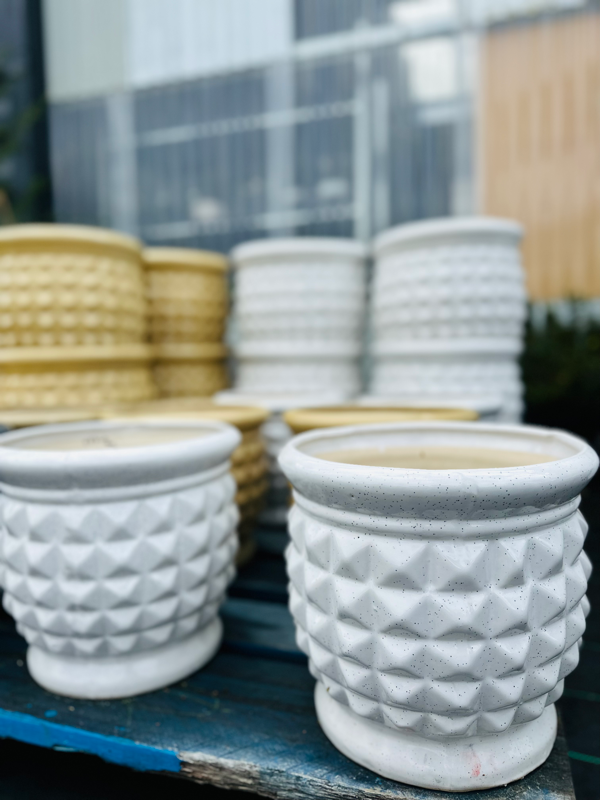 Small diamond pot | Canberra Nursery & Garden Centre