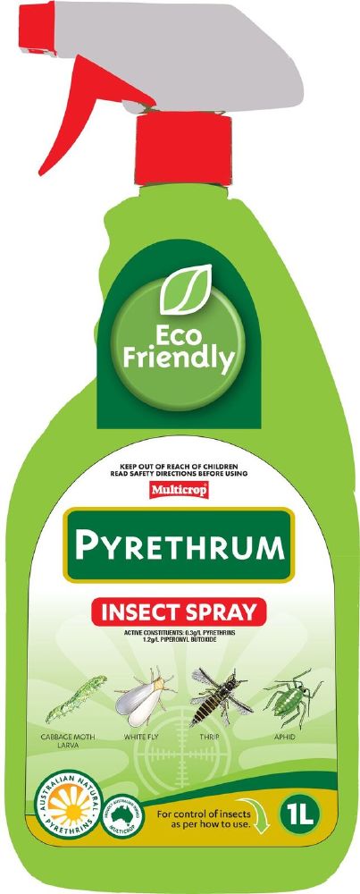 Pyrethrum Insect Spray 1L | Canberra Nursery & Garden Centre