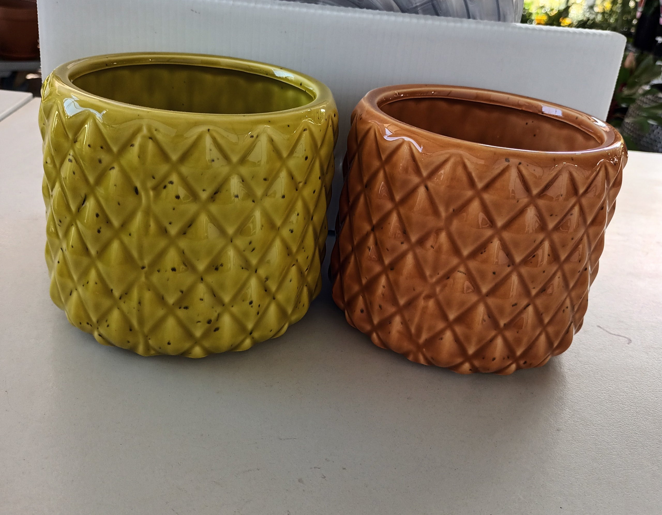 Coloured Pineapple Pot Medium | Canberra Nursery & Garden Centre