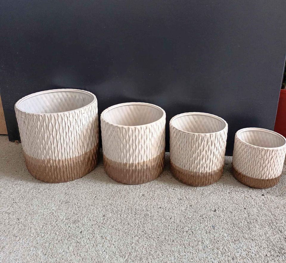 Golden Ribbed Pots | Canberra Nursery & Garden Centre